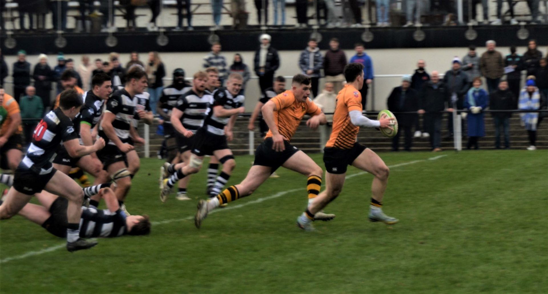 OLD BELVEDERE 31 BUCCANEERS 7 – Buccaneers R.F.C